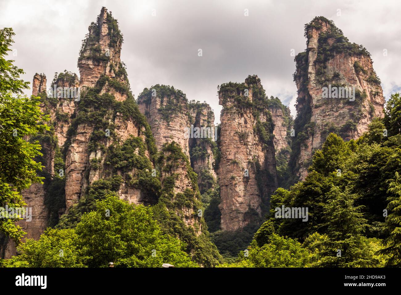 Rock cliffs of Zhangjiajie National Forest Park in Hunan province ...
