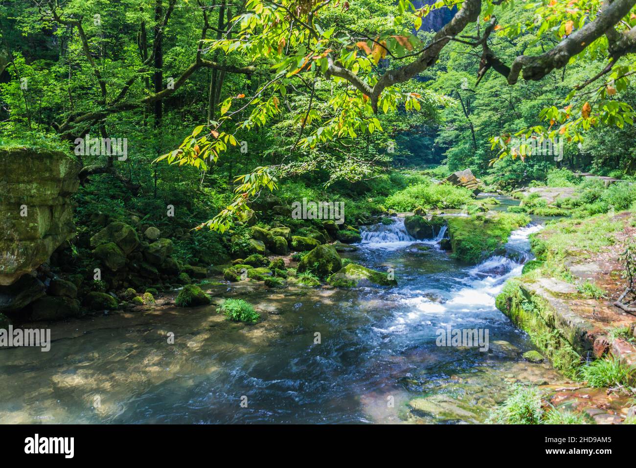 View of Golden Whip stream in Zhangjiajie National Forest Park in Hunan ...