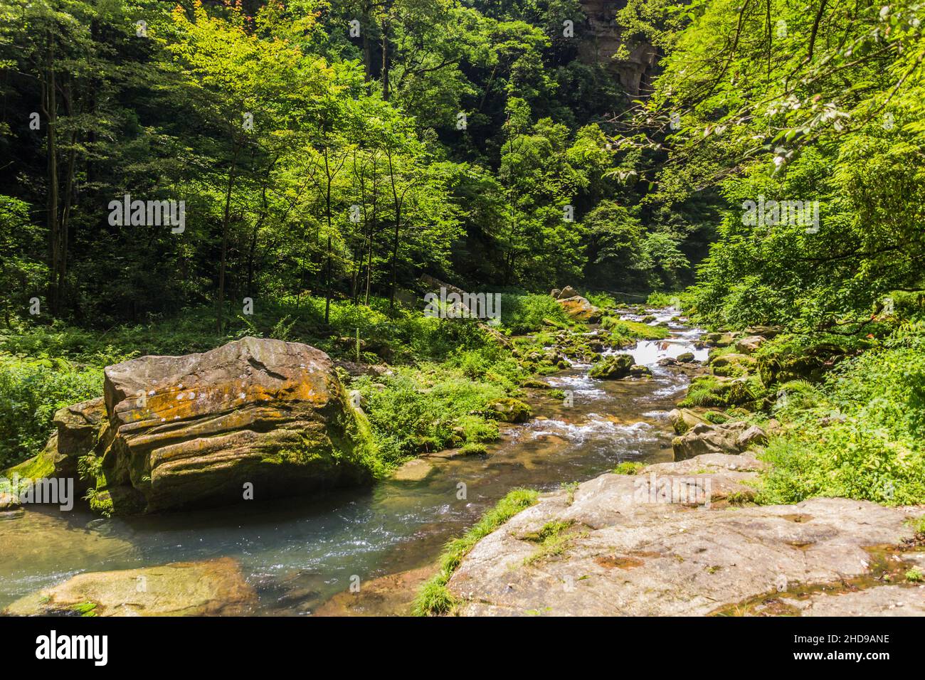 View of Golden Whip stream in Zhangjiajie National Forest Park in Hunan ...