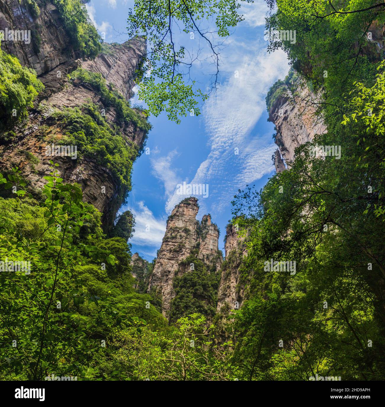 Rock cliffs above the Golden Whip stream in Zhangjiajie National Forest ...