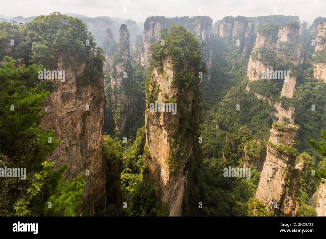 Rock pillars in Wulingyuan Scenic and Historic Interest Area in ...