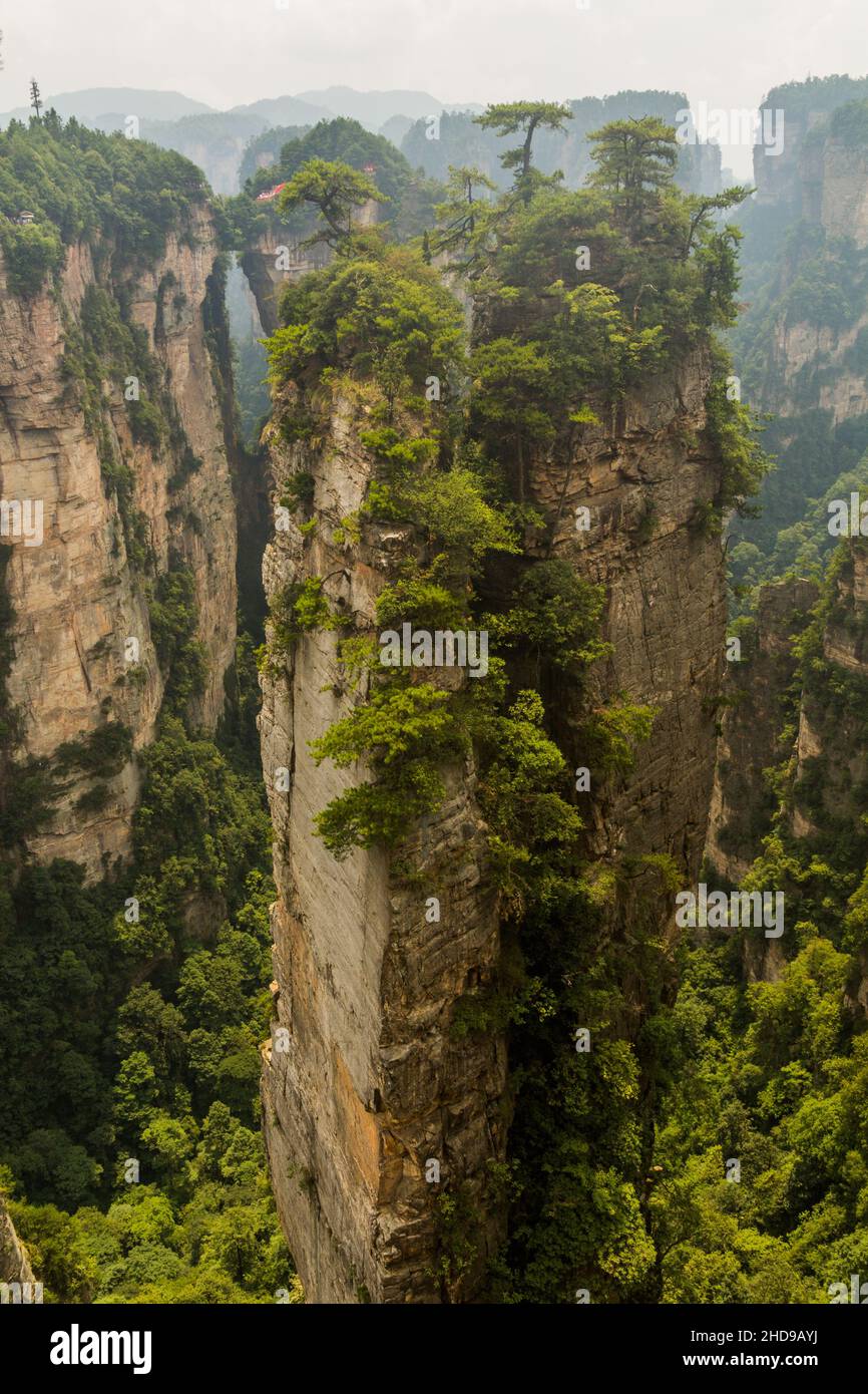 Natural rock bridge in Wulingyuan Scenic and Historic Interest Area in ...