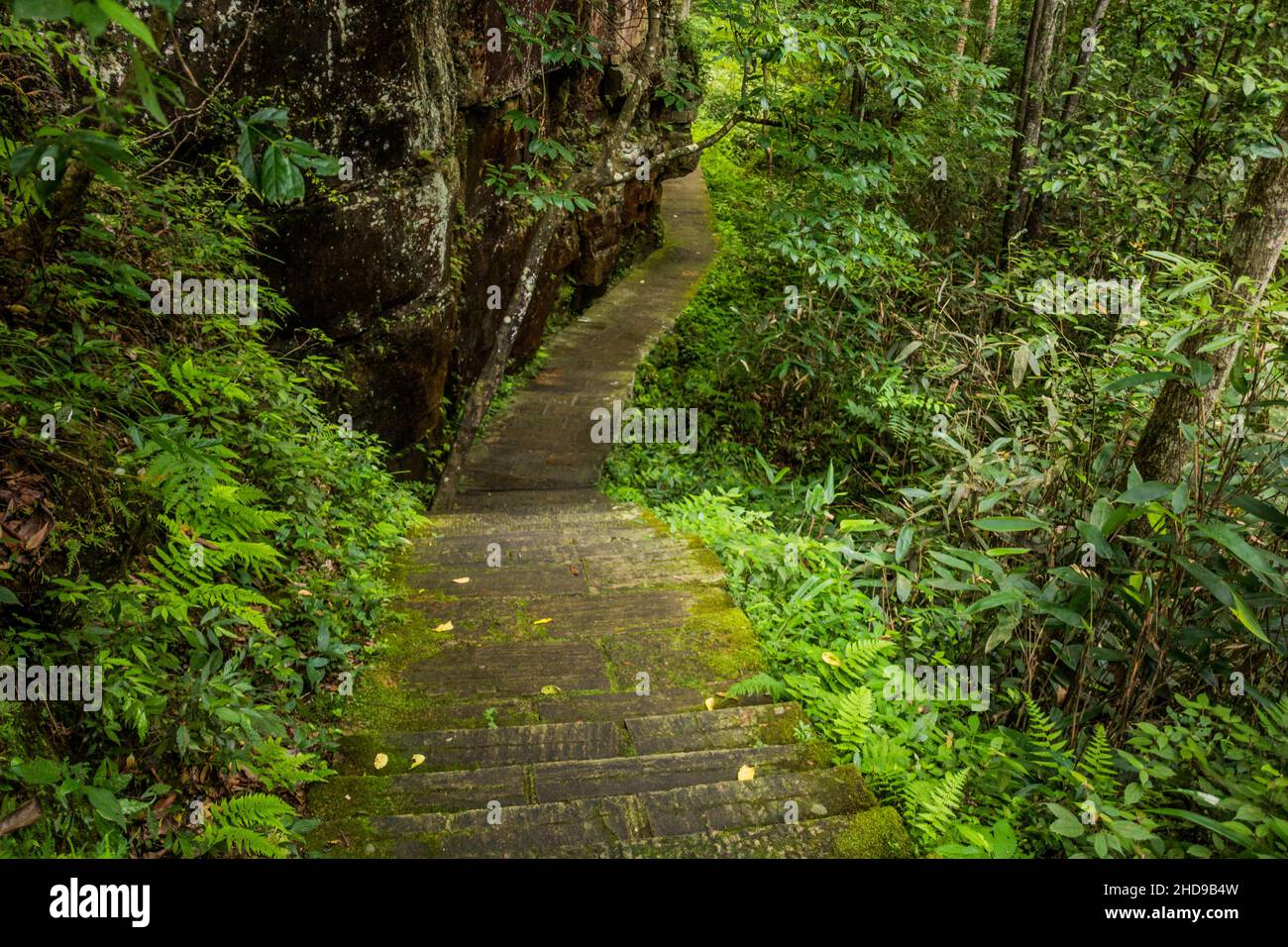 Path in Wulingyuan Scenic and Historic Interest Area in Zhangjiajie ...