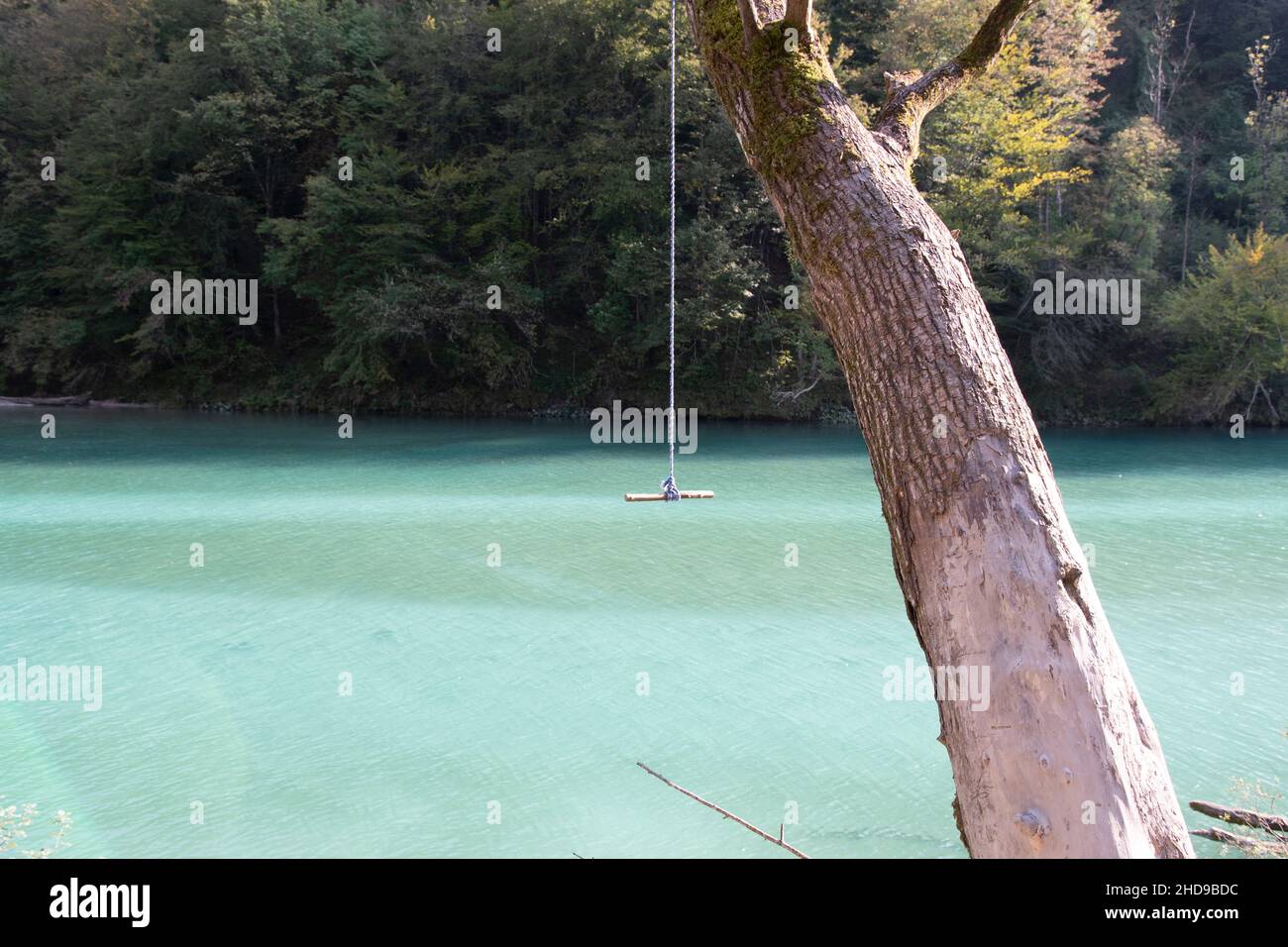 Swing on a tree above the water hi-res stock photography and images - Alamy