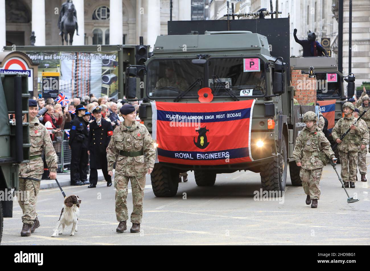 Explosive ordnance disposal and search hi-res stock photography and ...