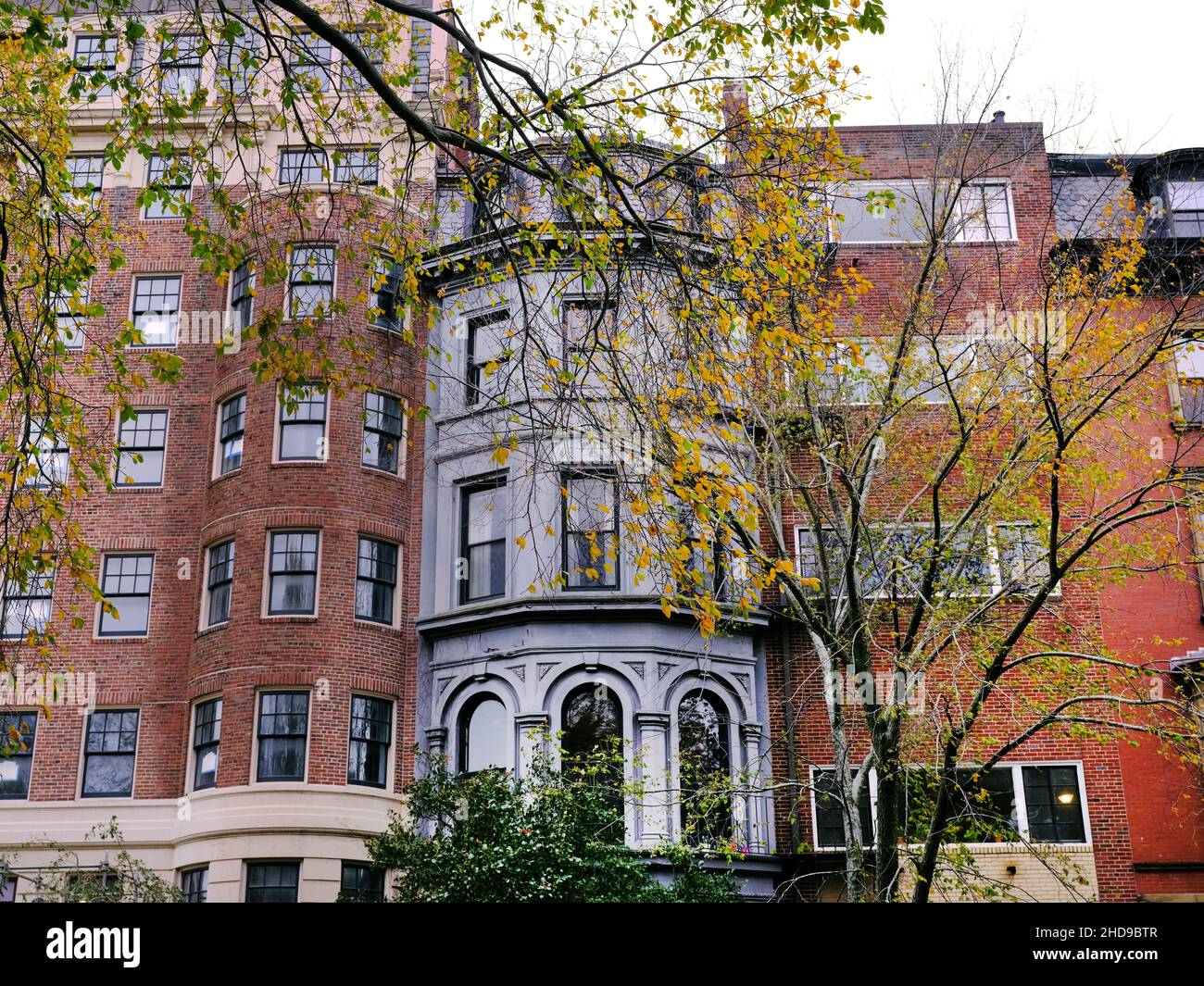 Boston Common, Boston, Massachusetts Stock Photo - Alamy