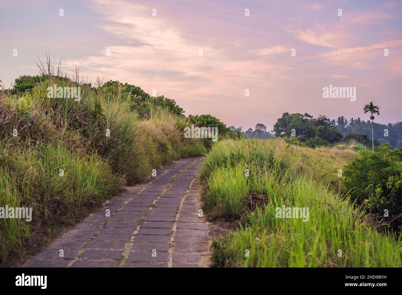 Campuhan Ridge Walk or Artists Walk sacred trail, Bali island ...
