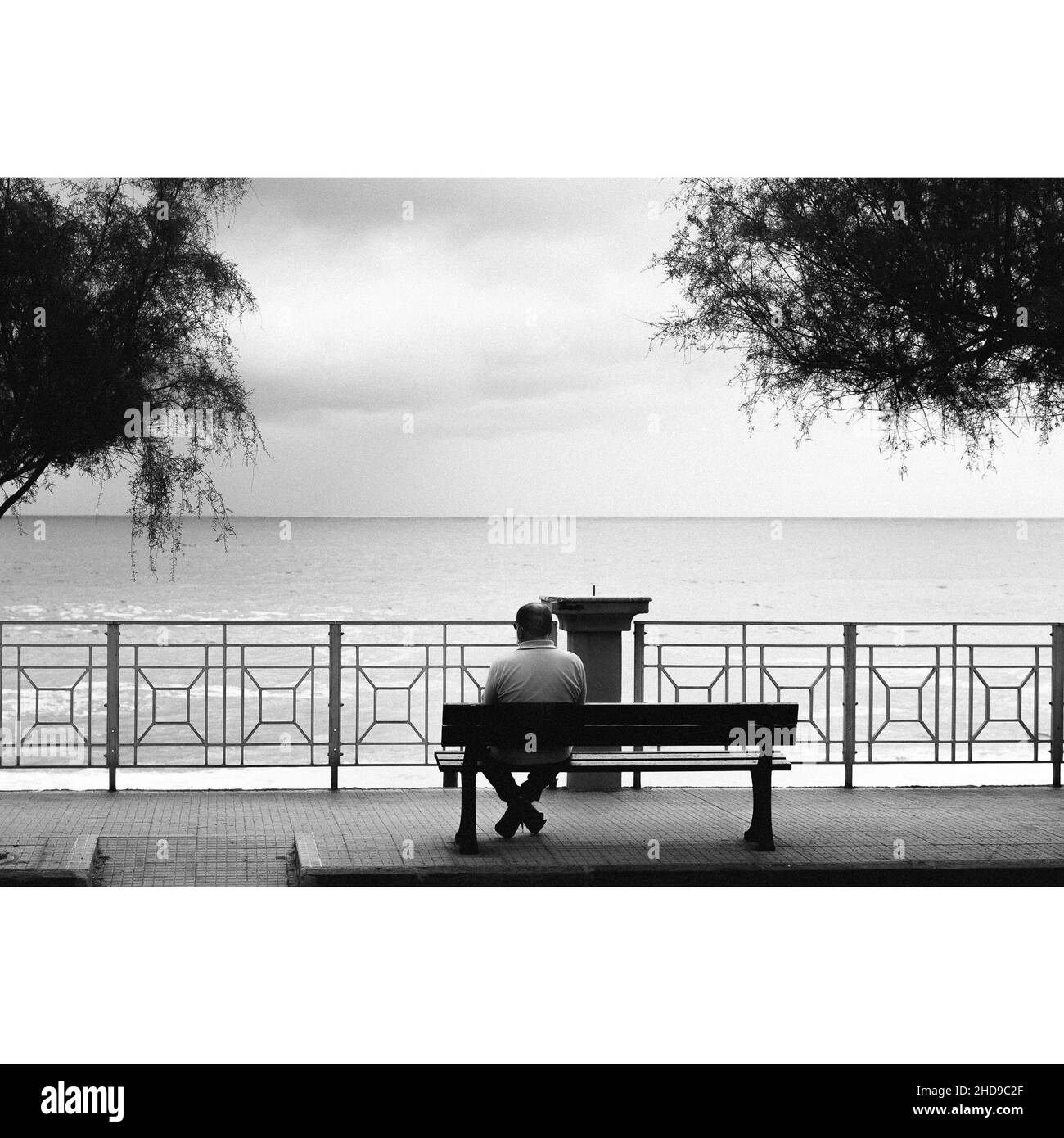 Man sitting bench rear view Black and White Stock Photos & Images - Alamy