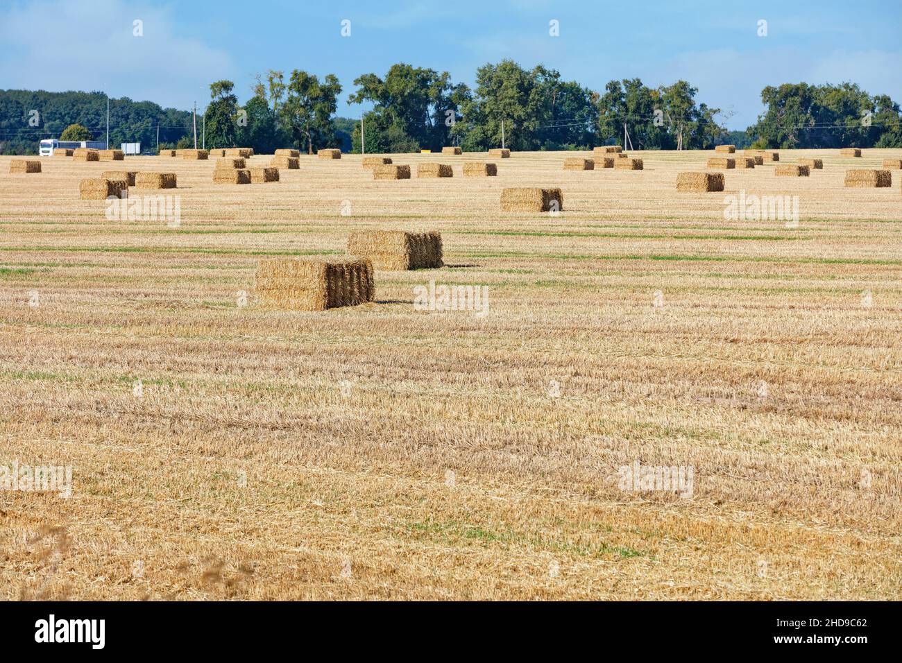 Large rectangular bales of straw are strewn across a wide field on a ...