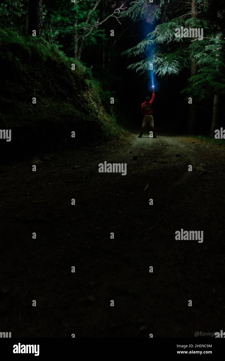 Flashlight forest hi-res stock photography and images - Alamy