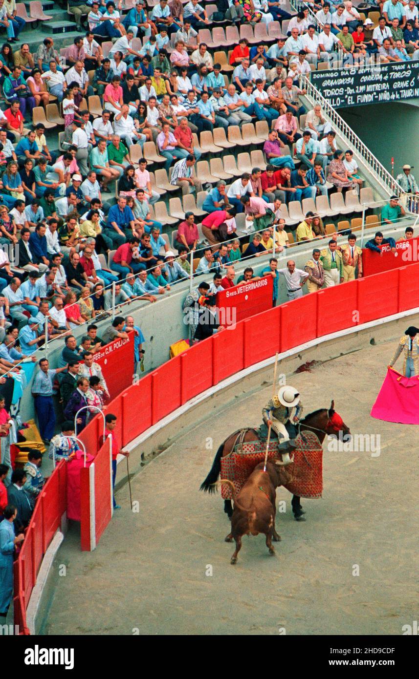 lancer on horseback, called picador, and bull, bullfight, Plaza de ...
