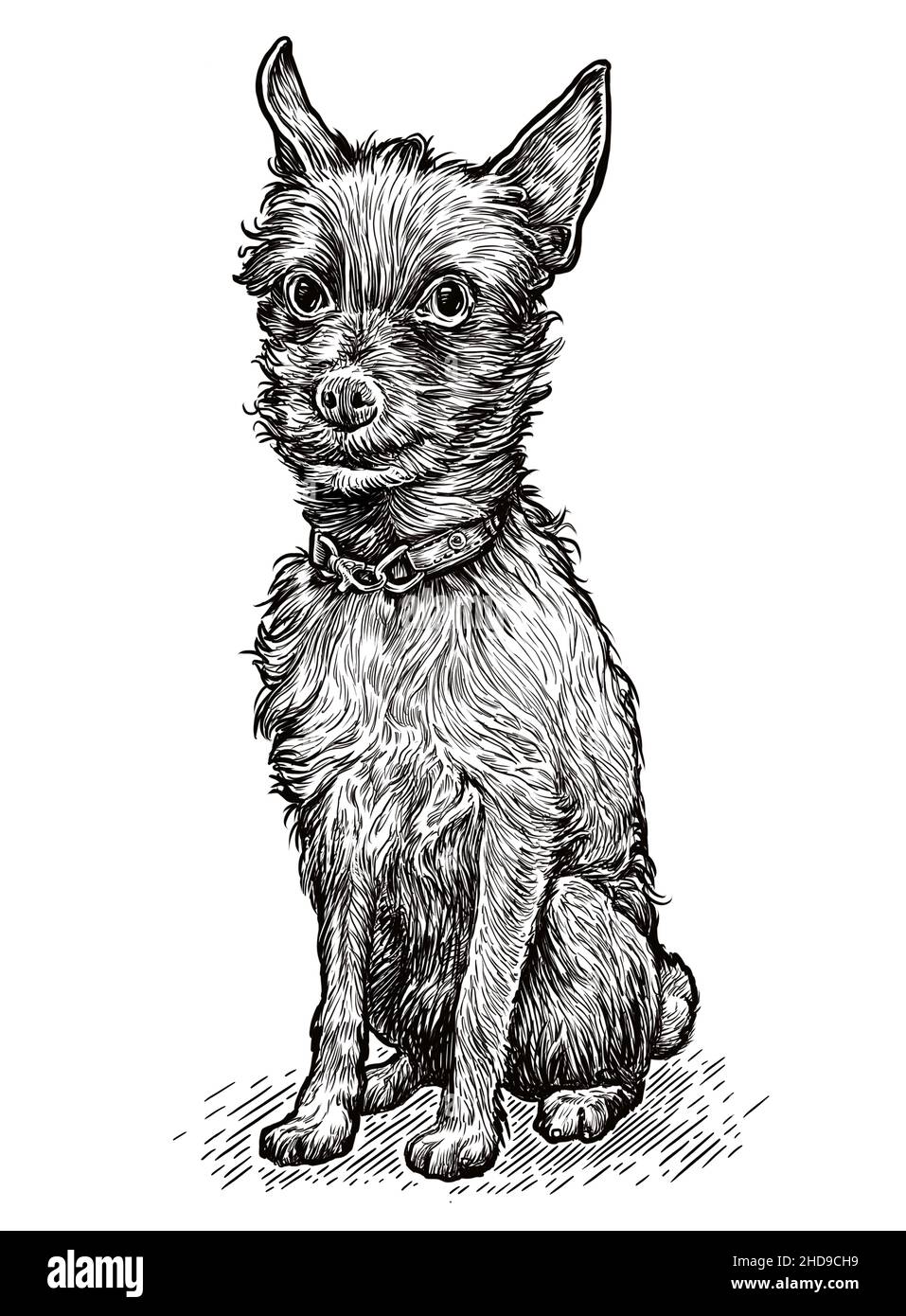 Black dog drawing hi-res stock photography and images - Alamy