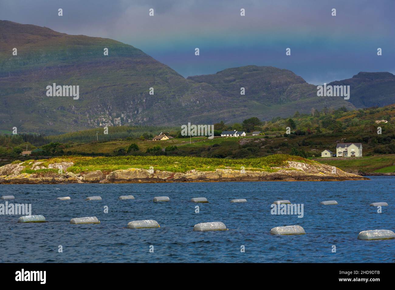 Fish farming in Adrigole, Beara Peninsula, County Cork, Ireland Stock ...