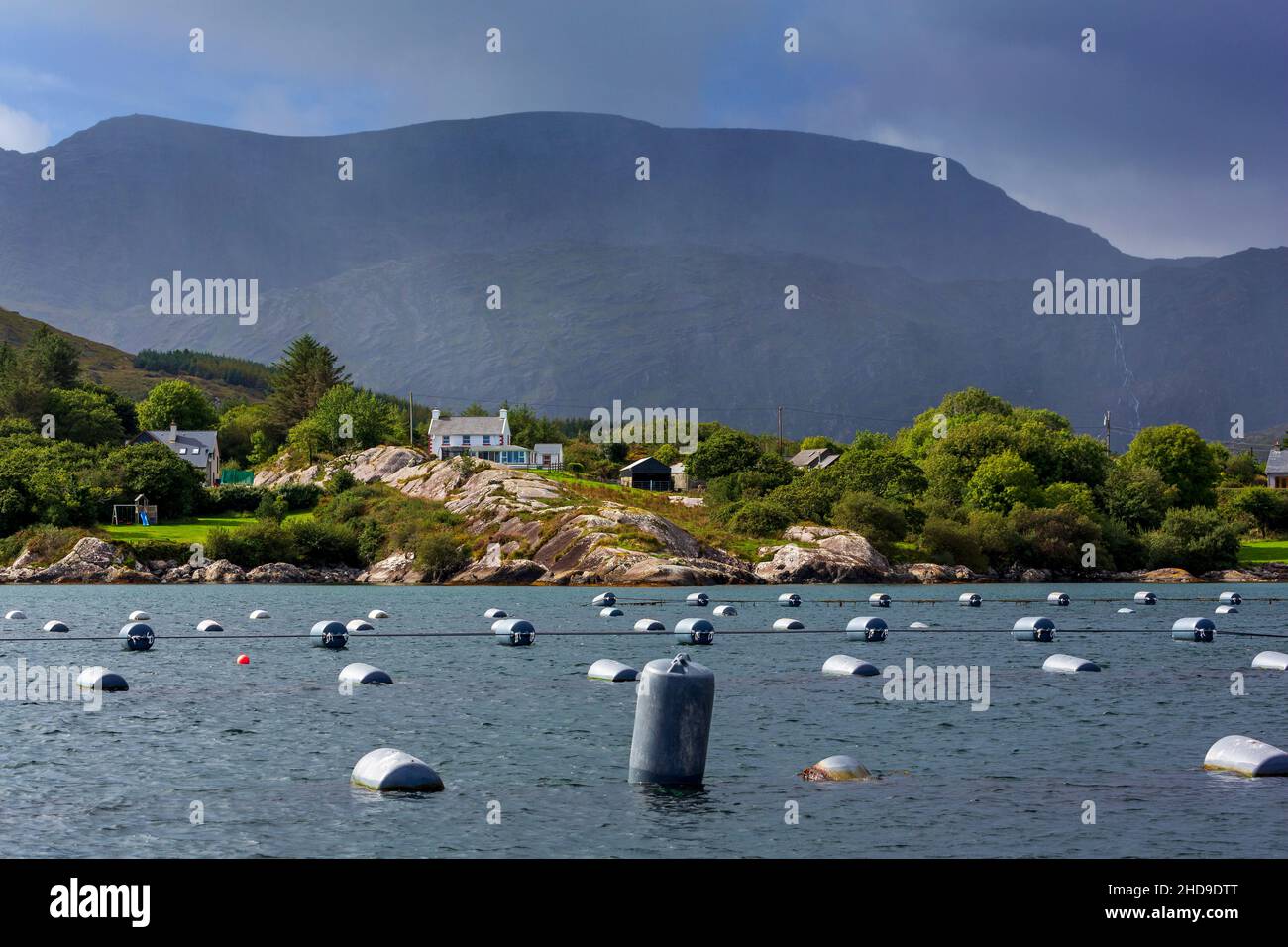 Fish farming in Adrigole, Beara Peninsula, County Cork, Ireland Stock ...