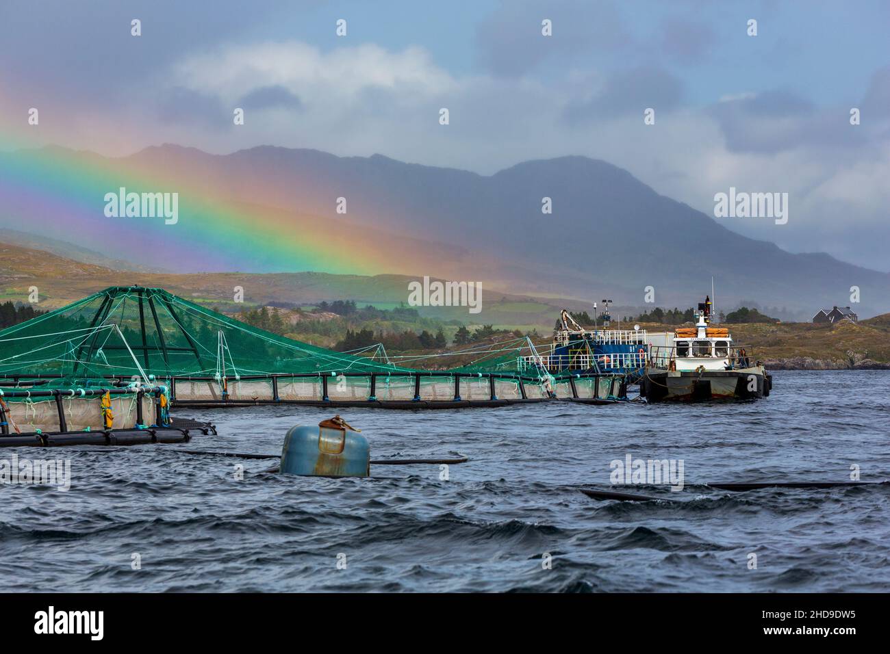 Fish farming in Adrigole, Beara Peninsula, County Cork, Ireland Stock ...