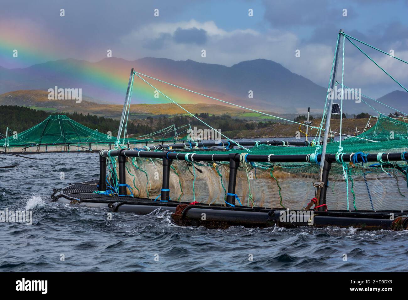 Fish farming in Adrigole, Beara Peninsula, County Cork, Ireland Stock ...