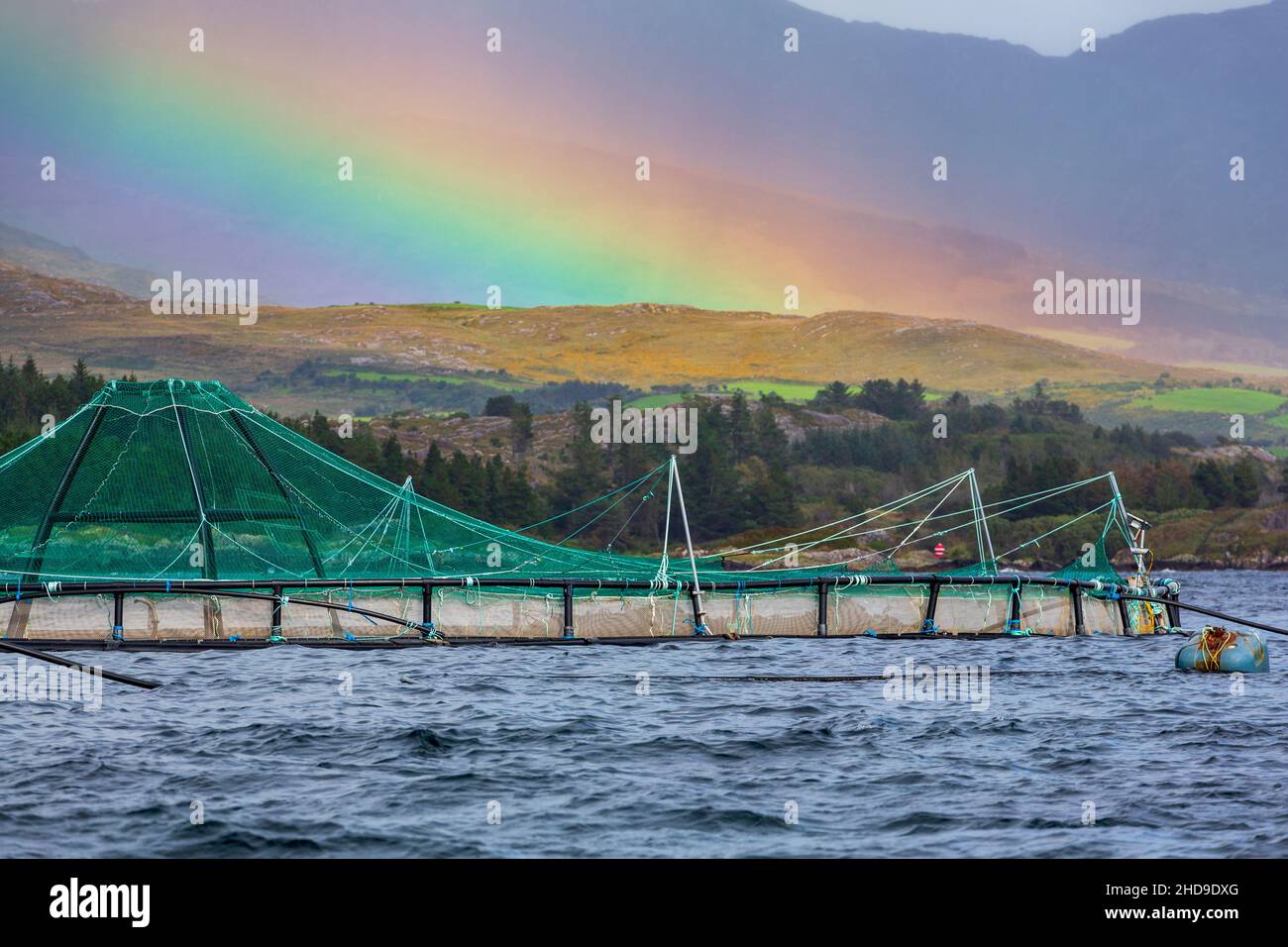 Fish farming in Adrigole, Beara Peninsula, County Cork, Ireland Stock ...