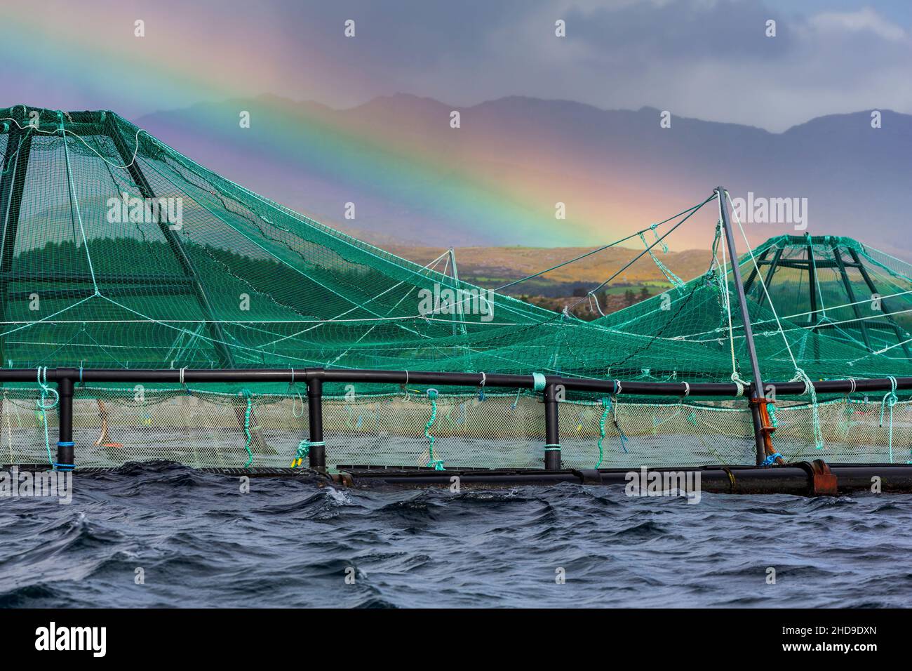 Fish farming in Adrigole, Beara Peninsula, County Cork, Ireland Stock ...