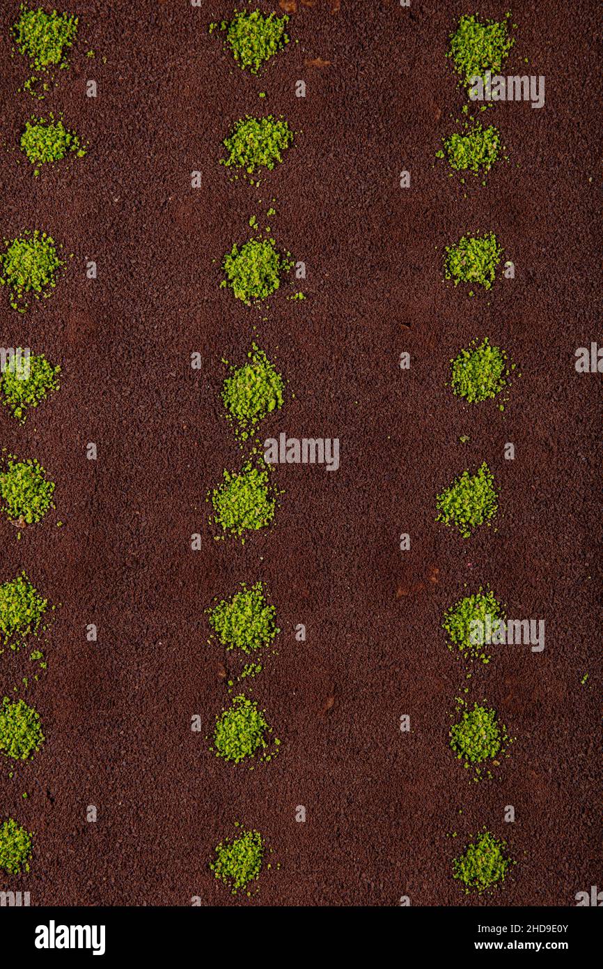Cold baklava with milk. Cold baklava in the plate (Soguk baklava ...