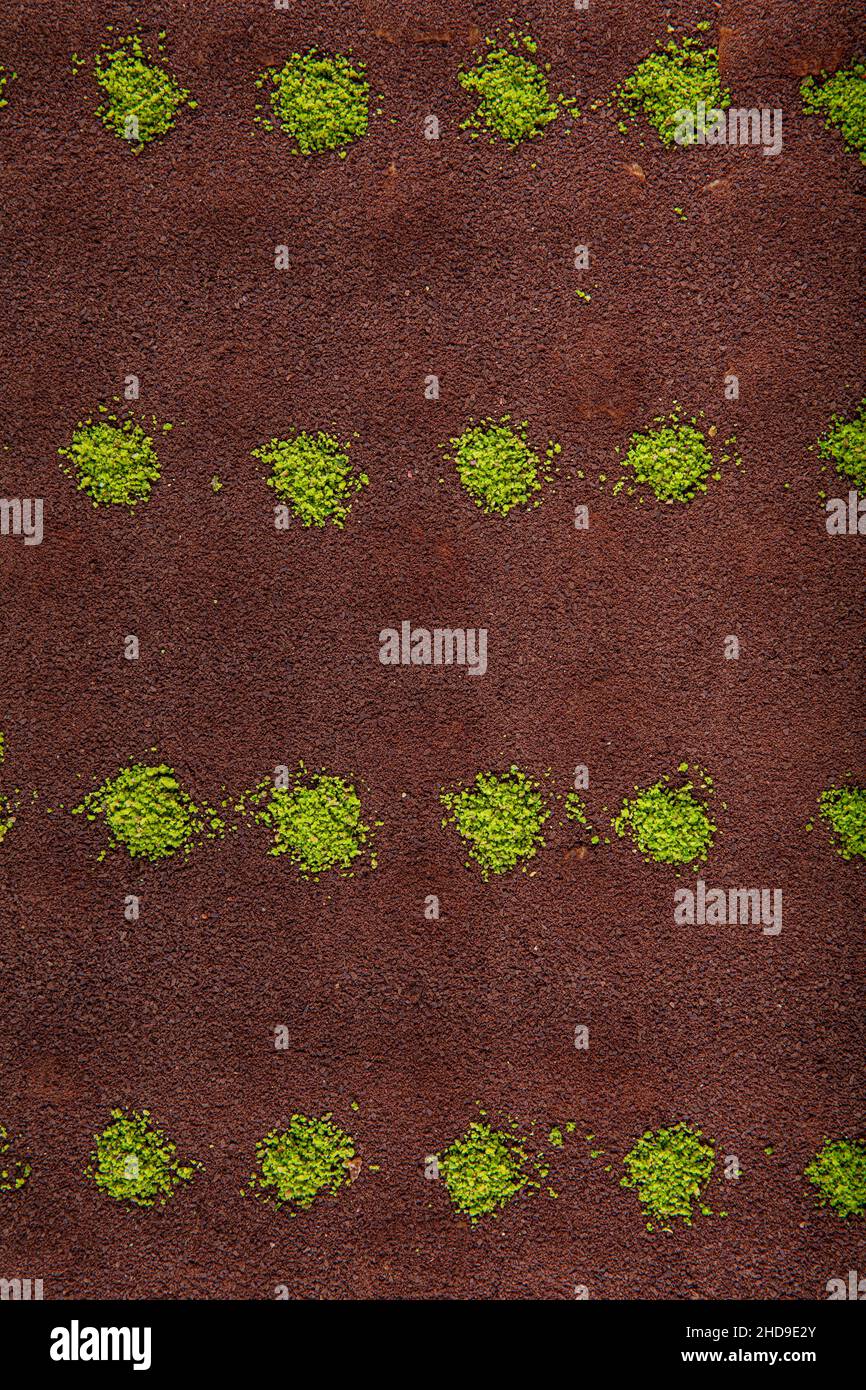 Cold baklava with milk. Cold baklava in the plate (Soguk baklava ...