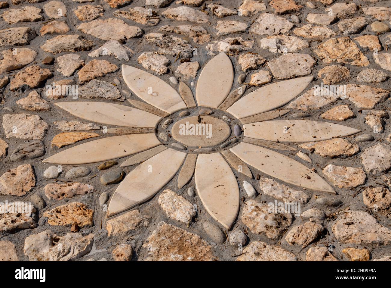 Leafy shapes hi-res stock photography and images - Alamy