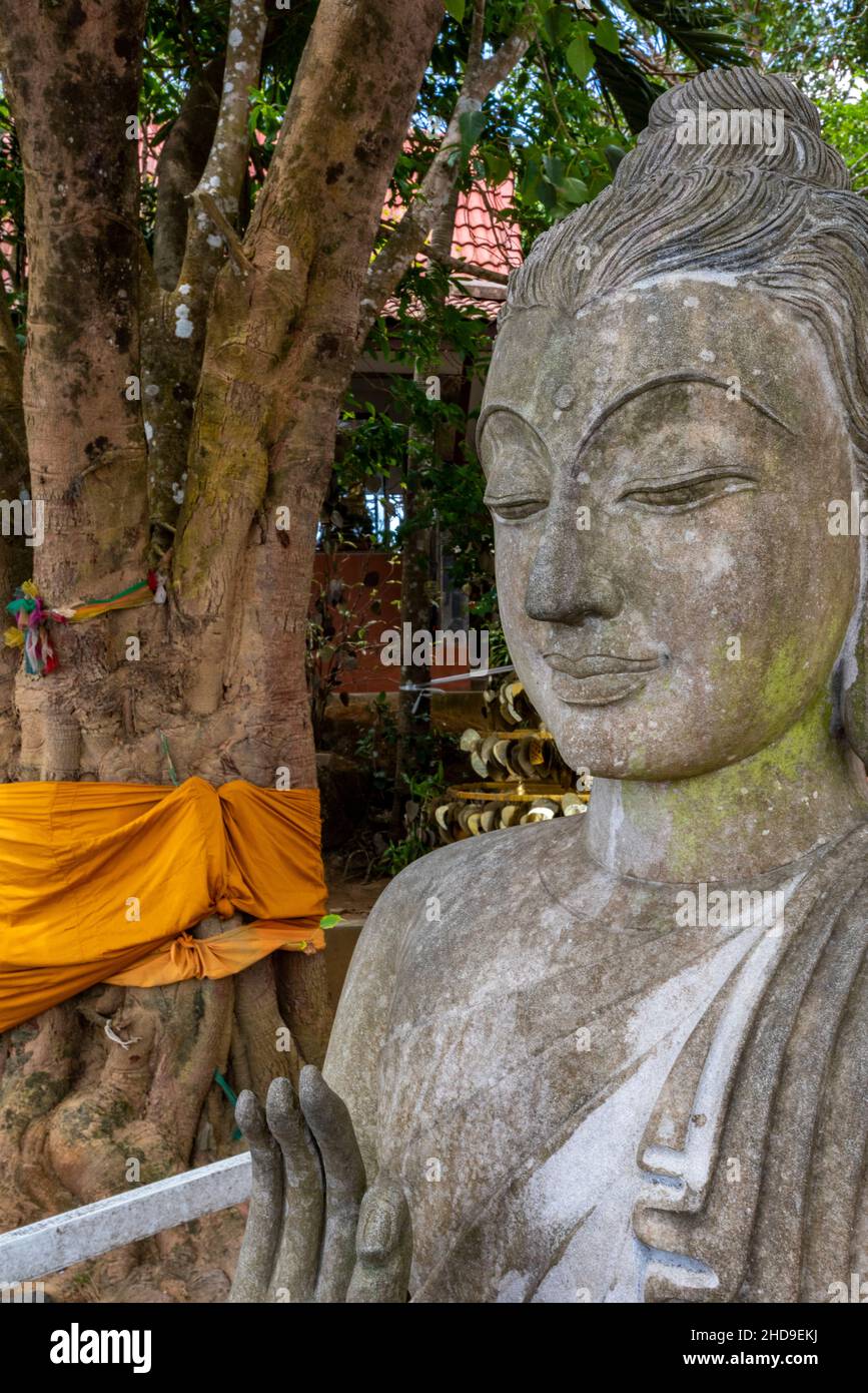 Buddha Four Sights