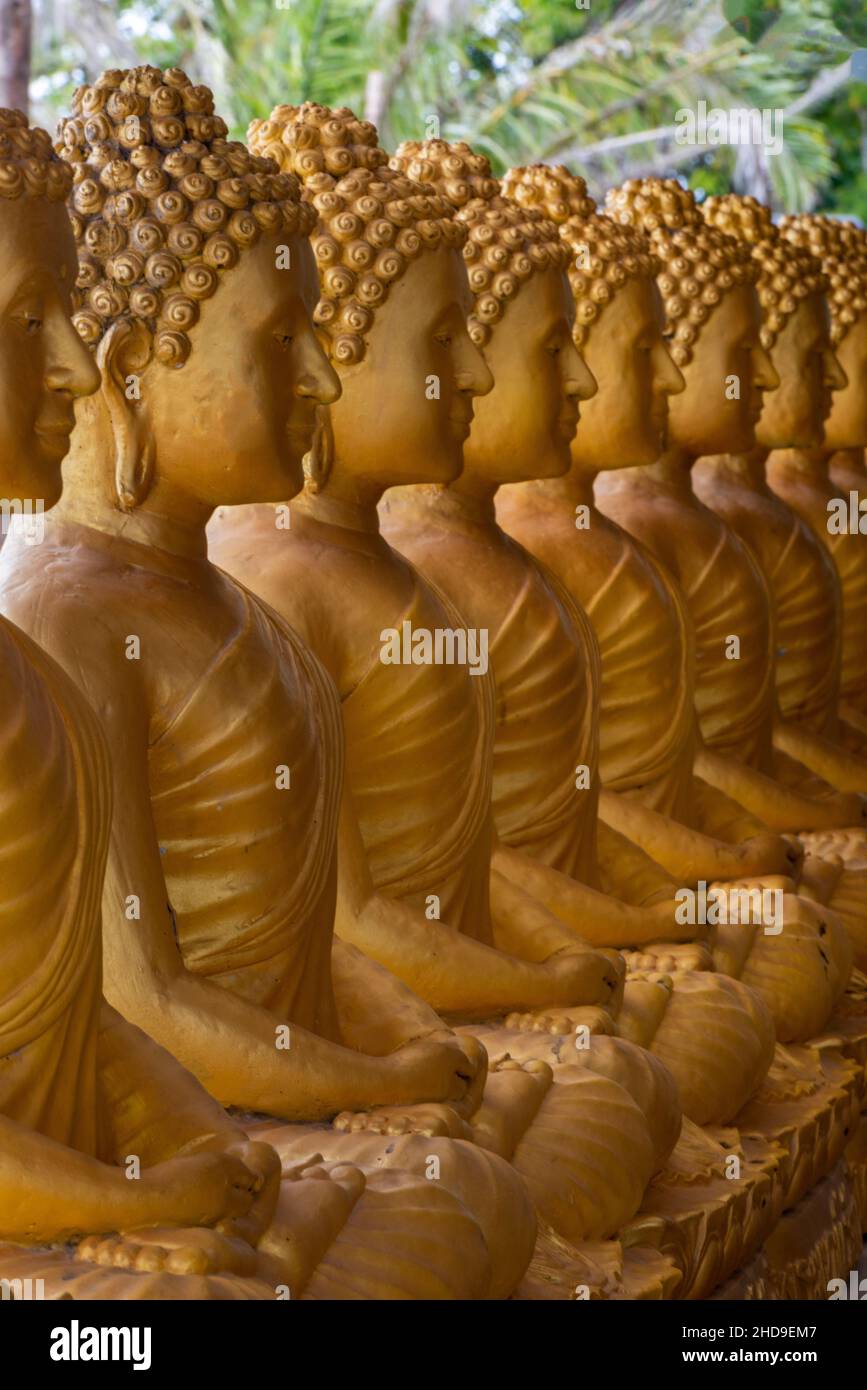 line or row of buddhas or buddhist priest models in gold at a temple in ...