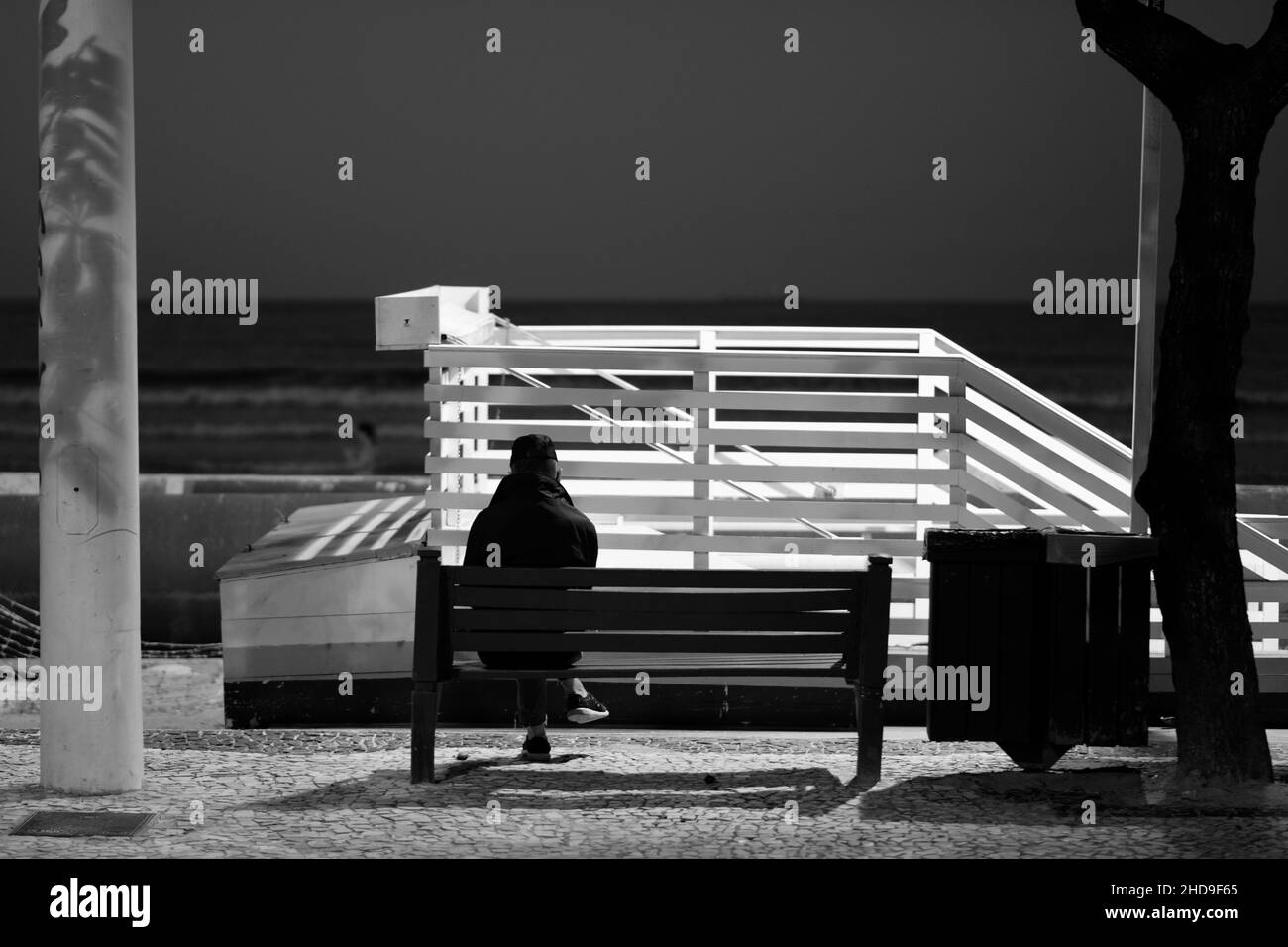 Grayscale scenic view of a person sitting on a bench from behind in ...
