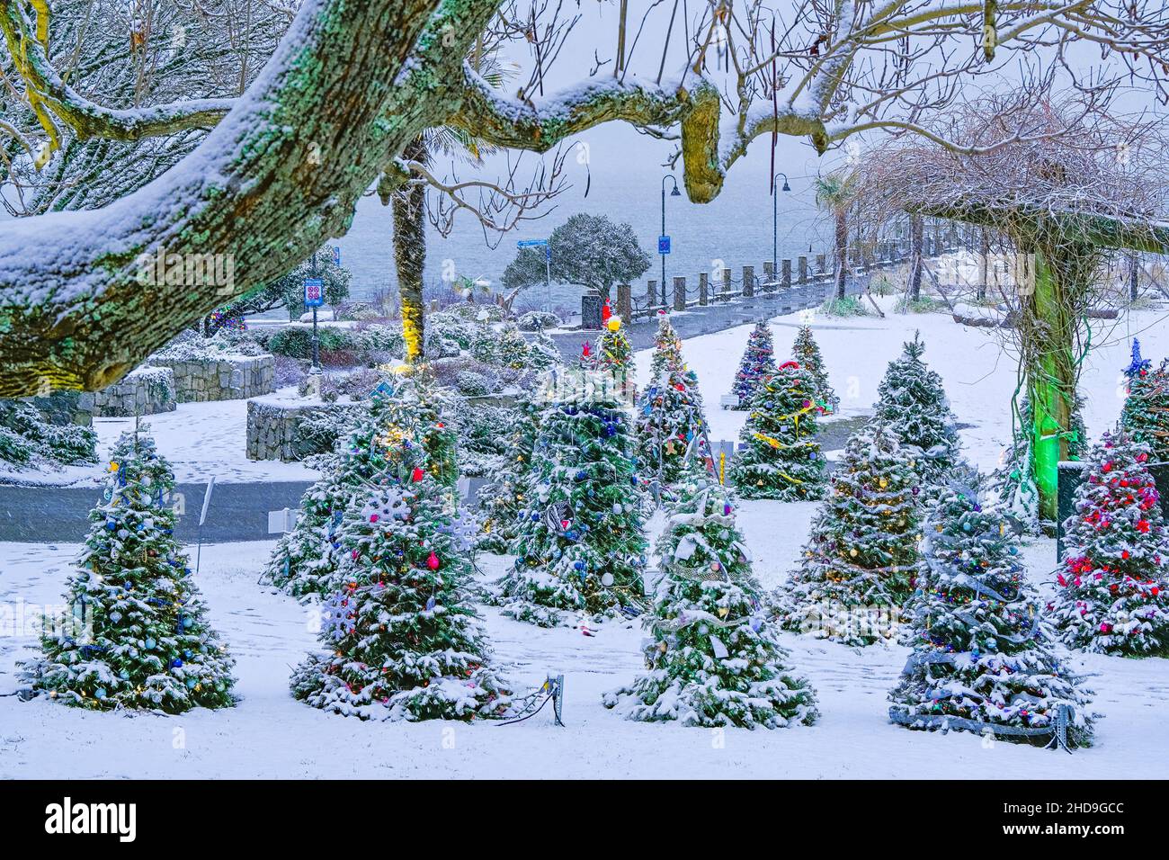 Festival of Lights, Dundarave, West Vancouver, British Columbia, Canada ...