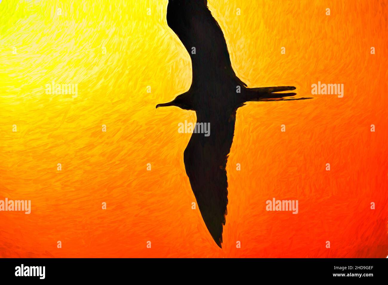 Single Bird Silhouette Flying