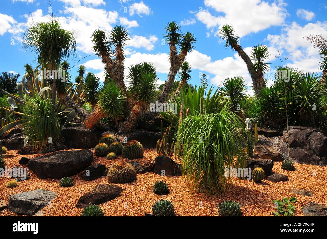 Exotic desert hi-res stock photography and images - Alamy