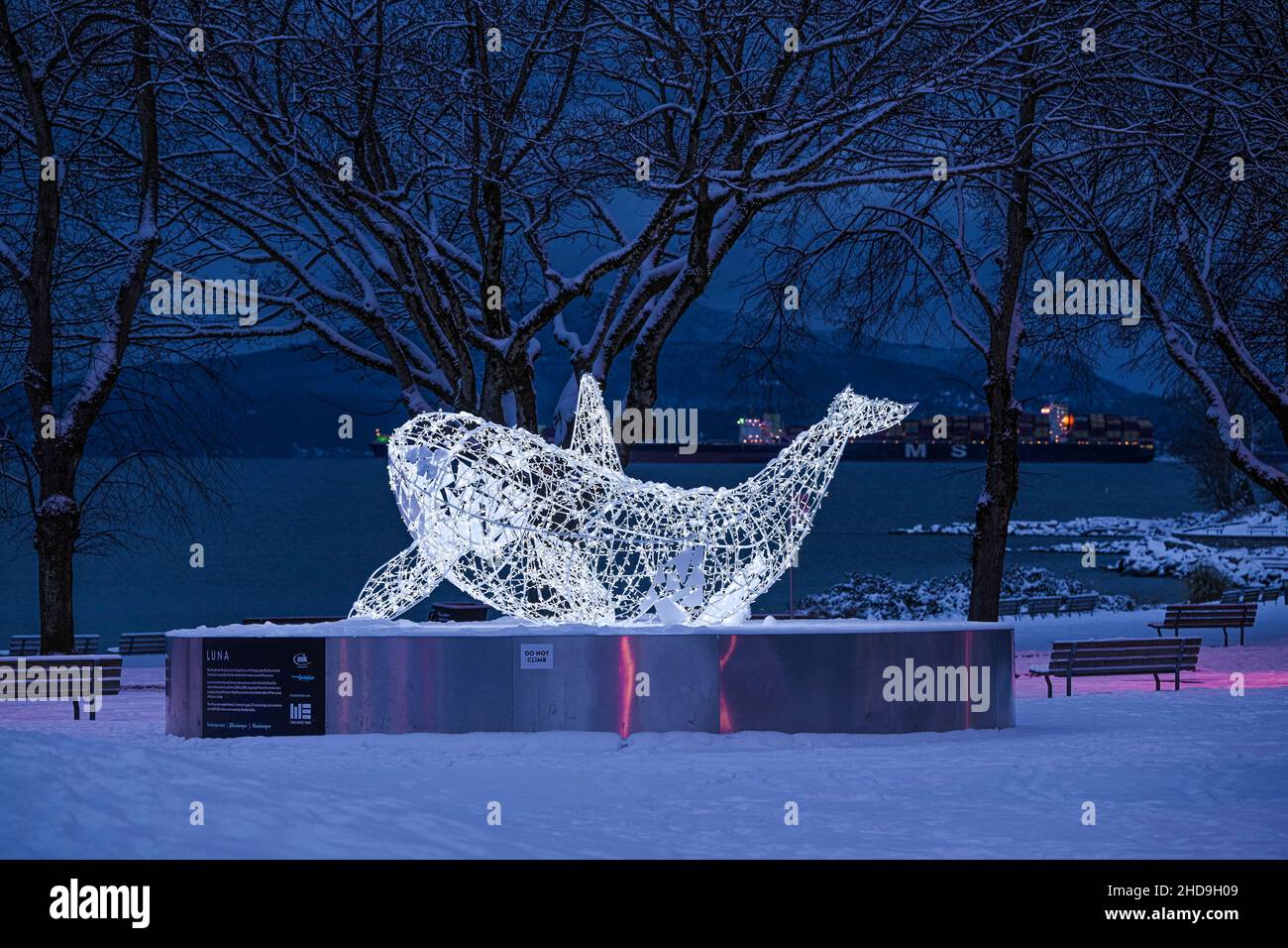 Luna, Killer whale, orca light installation, Lumiere Festival, Morton ...