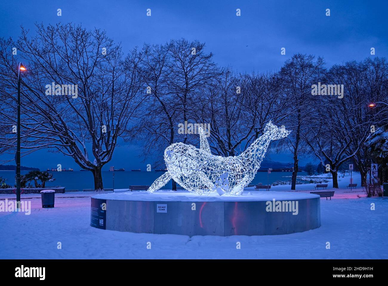 Luna, Killer whale, orca light installation, Lumiere Festival, Morton ...