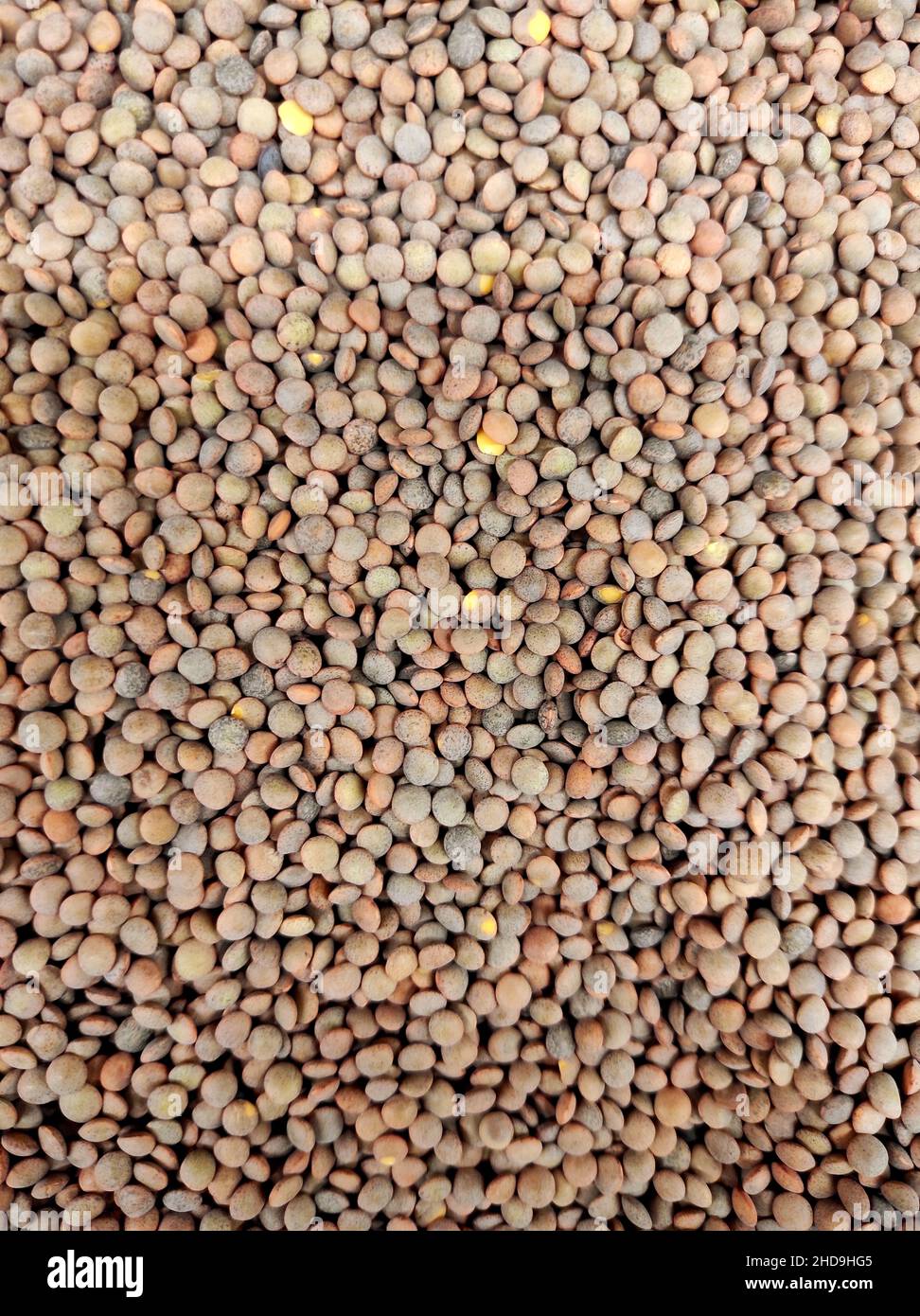 Top view of a heap of Masoor Black mashoor seeds Stock Photo - Alamy