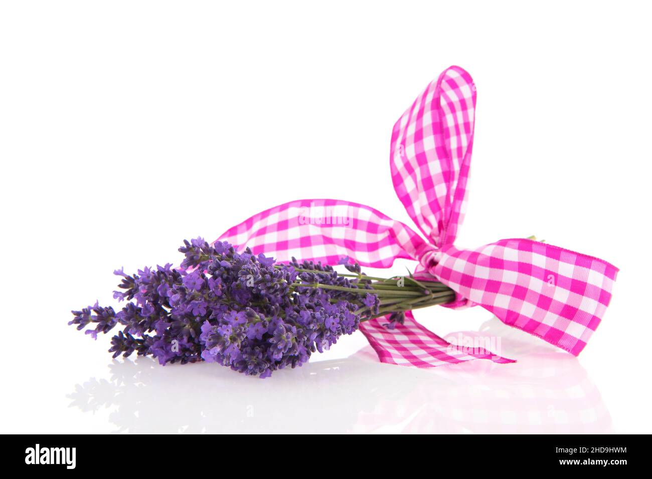 Bouquet Lavender with checkered ribbon isolated over white background Stock Photo - Alamy