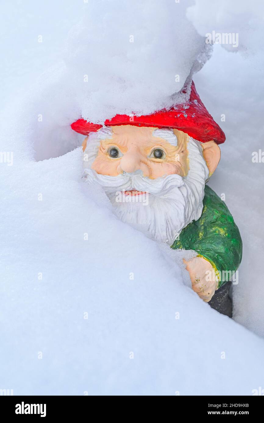 Garden gnome in snow Stock Photo - Alamy