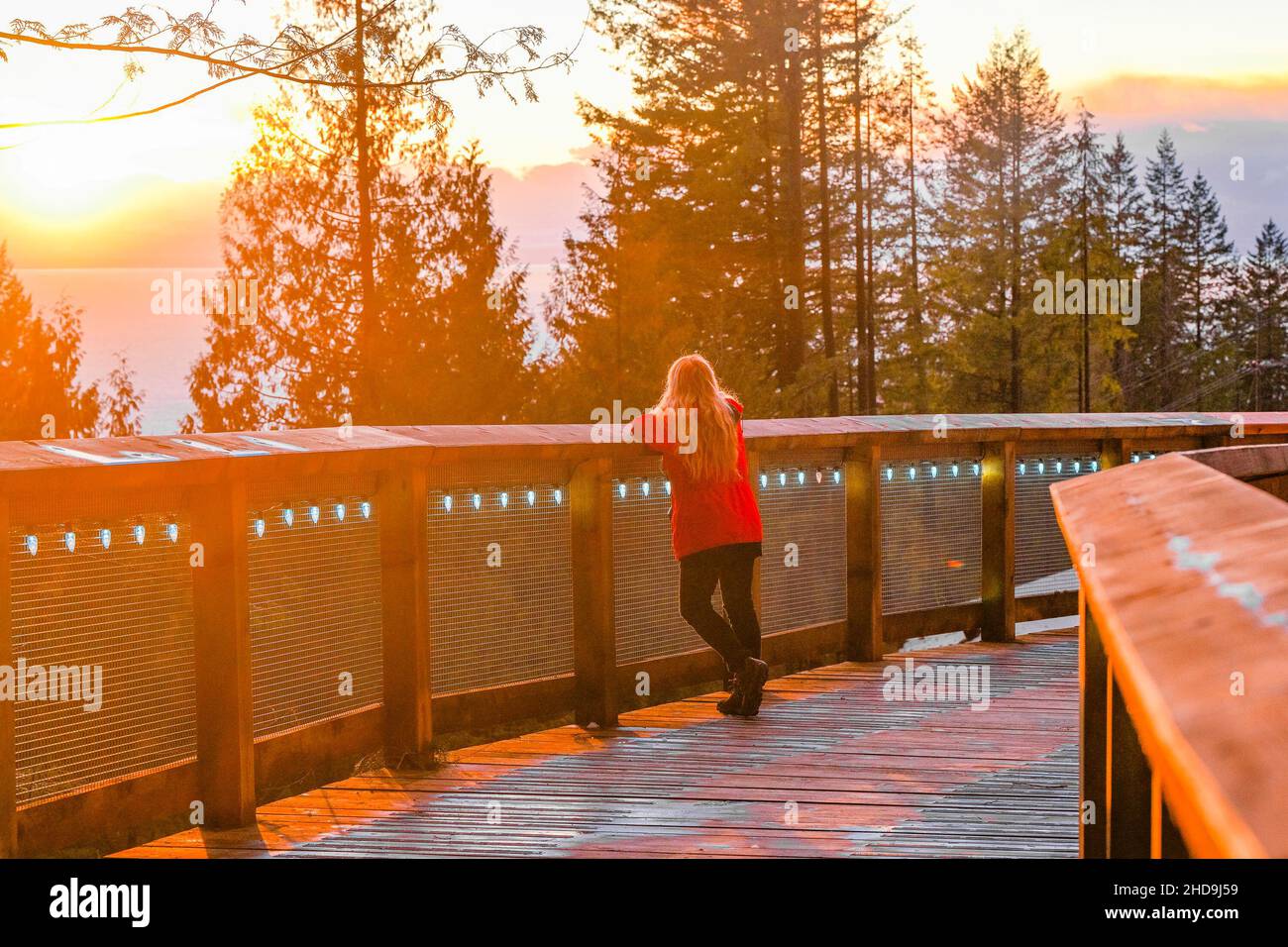 Trestle bridge, Cypress Mountain, West Vancouver, British Columbia ...