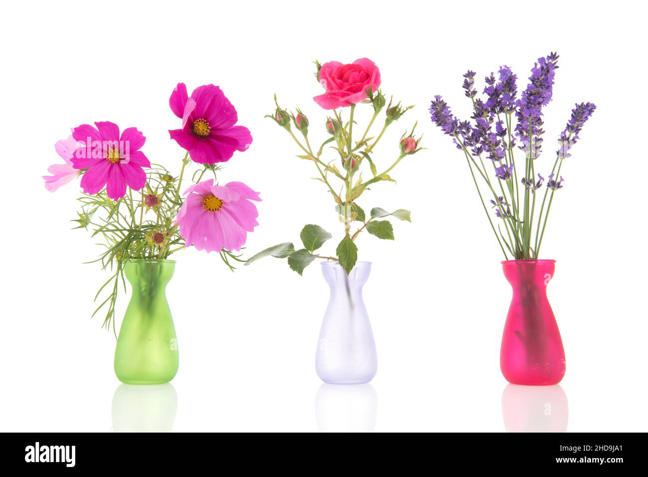 Row flowers in little glass vases isolated over white background Stock ...