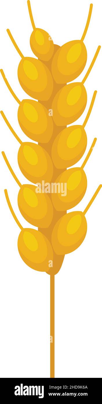 Wheat plant icon. Flat illustration of wheat plant vector icon isolated ...