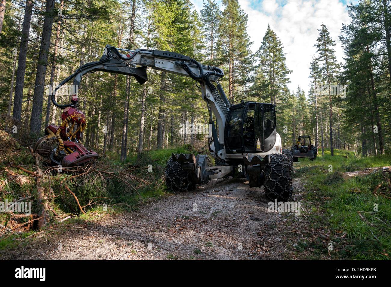 Log harvesting machine hi-res stock photography and images - Alamy