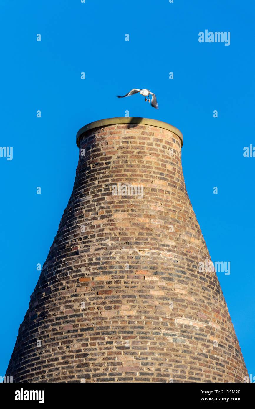 pot bank bottle kiln brick chimney with seagull taking off against blue ...