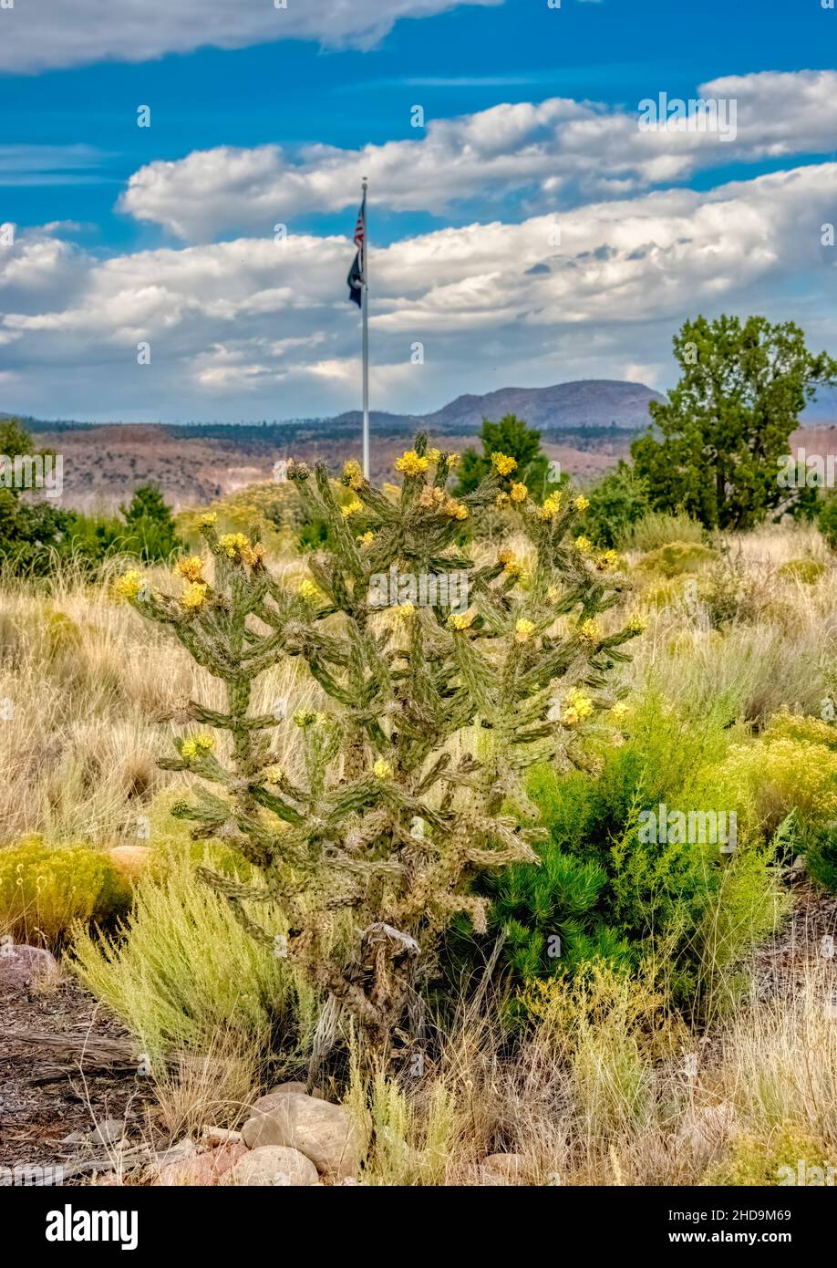 American flag standing tall over southwest desert scene hi-res stock ...