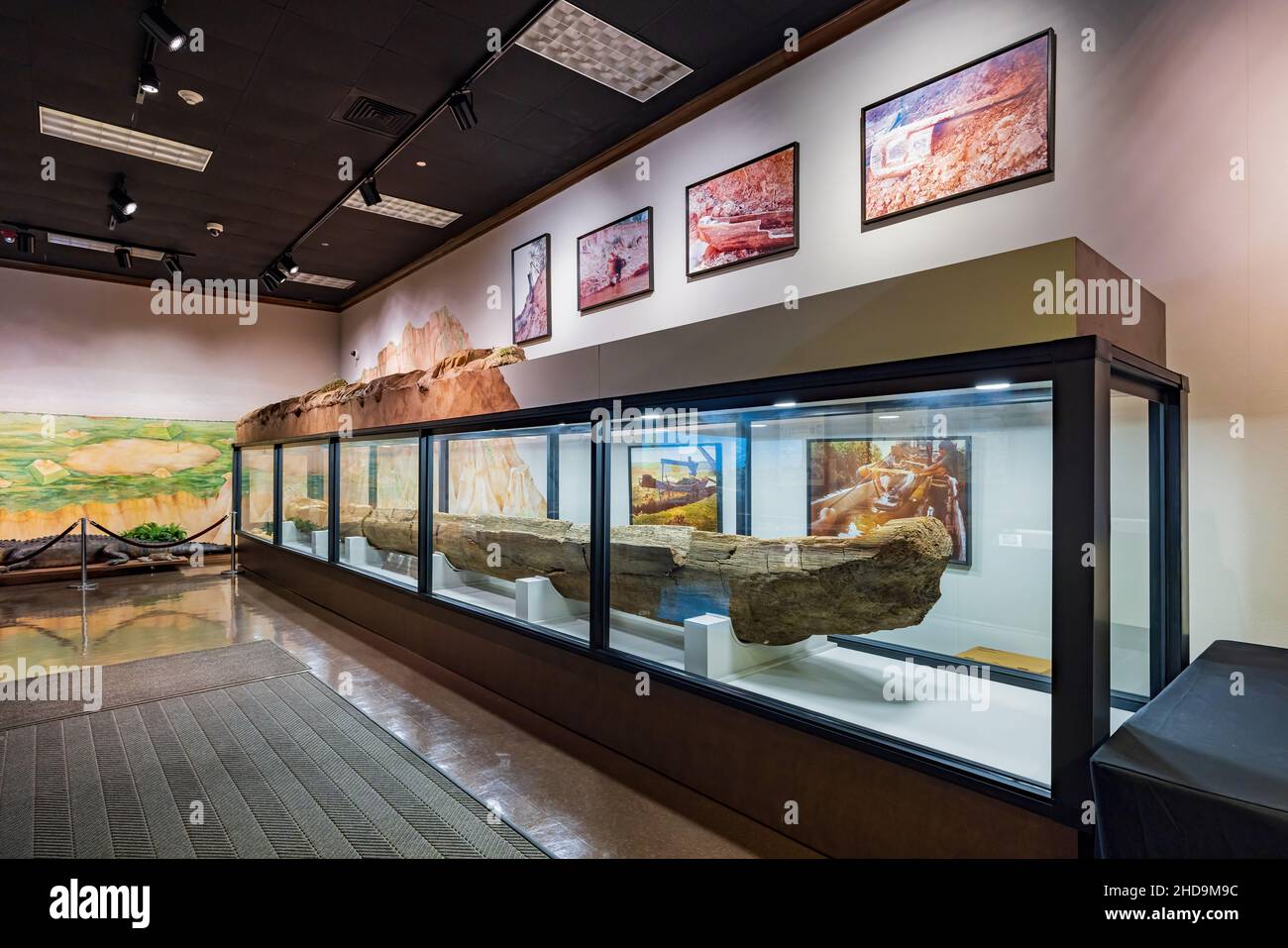 Louisiana, DEC 23 2021 - Interior view of the Louisiana State Exhibit ...