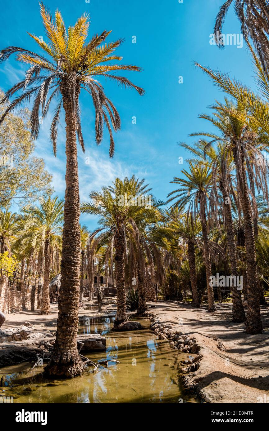 Oasis scenery hi-res stock photography and images - Alamy