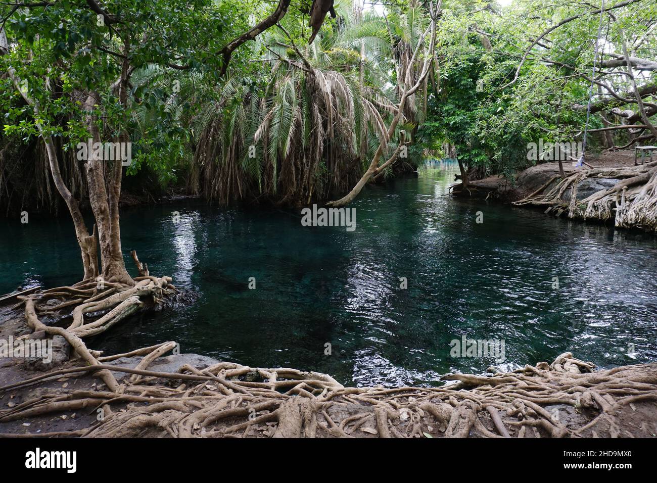 The Kikuletwa hot springs close to Moshi, Tanzania 2021 Stock Photo - Alamy