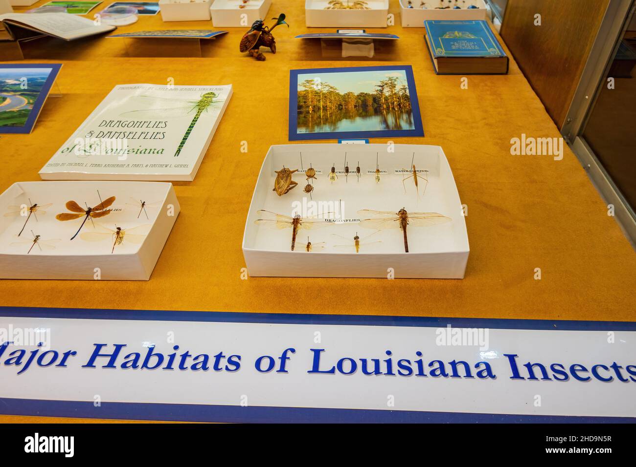 Louisiana, DEC 23 2021 - Interior view of the Louisiana State Exhibit ...
