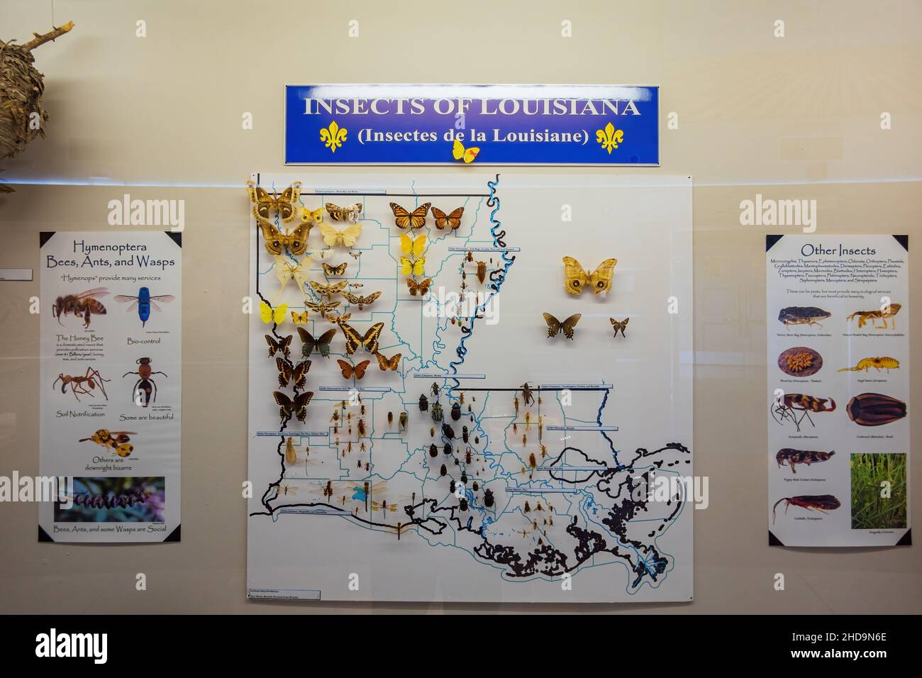Louisiana, DEC 23 2021 - Interior view of the Louisiana State Exhibit ...