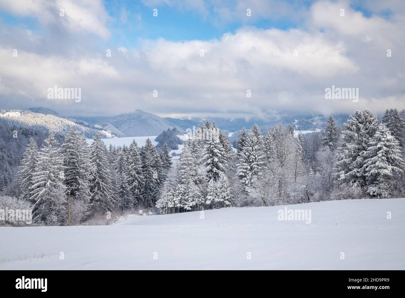 Winter landscape with snowy trees and mountains at sunny day. The Orava ...