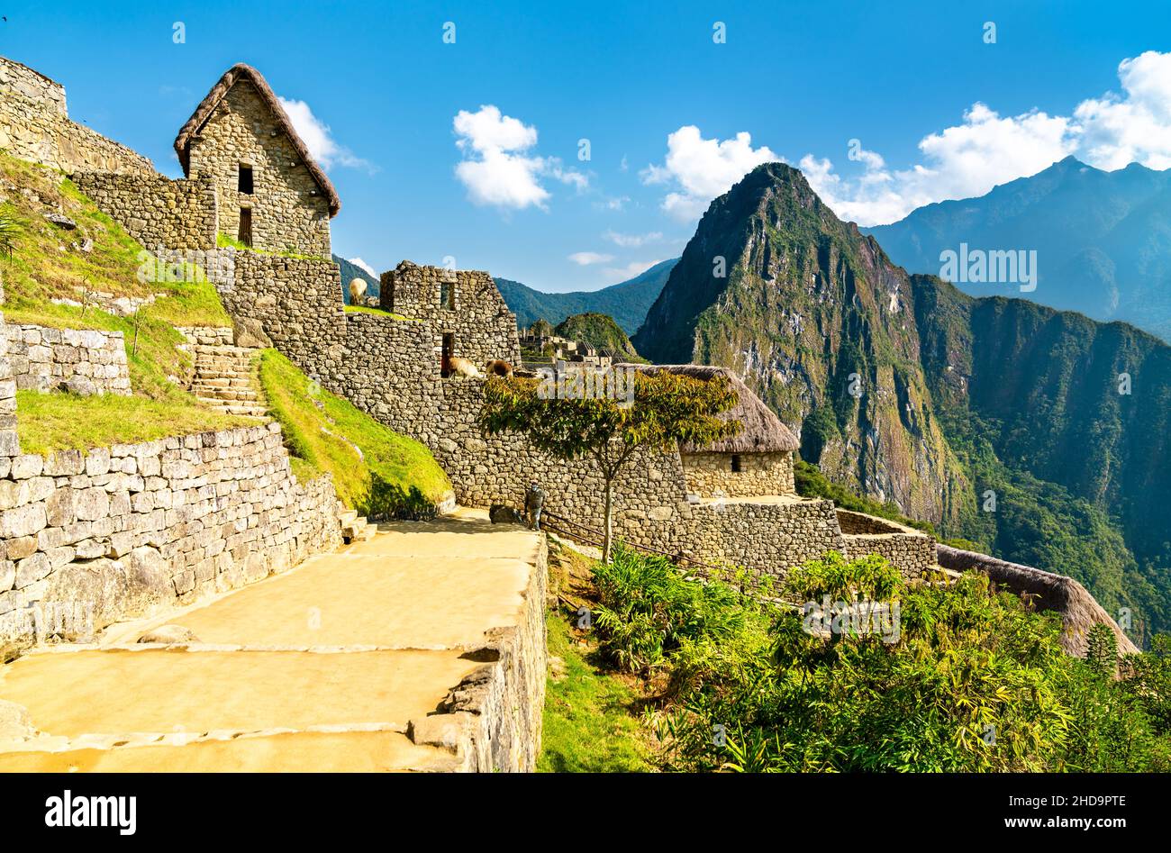 Machu Picchu Inca ruins in Peru, South America Stock Photo - Alamy