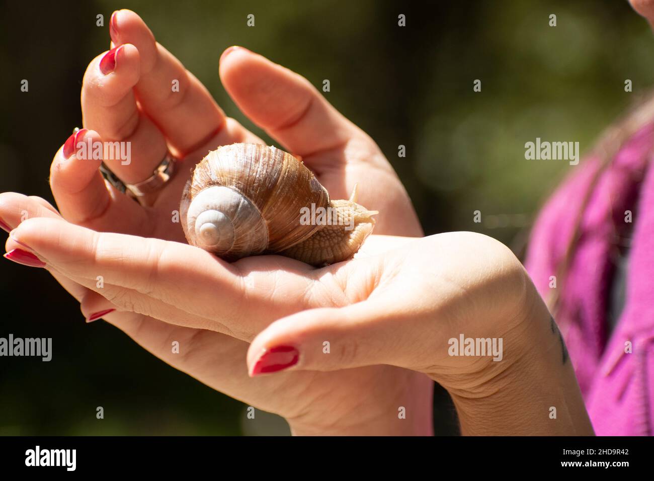Hands red nails hi-res stock photography and images - Alamy